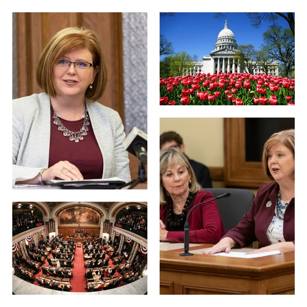 About Barbara Dittrich: Wisconsin Candidate: 38th Assembly District ...