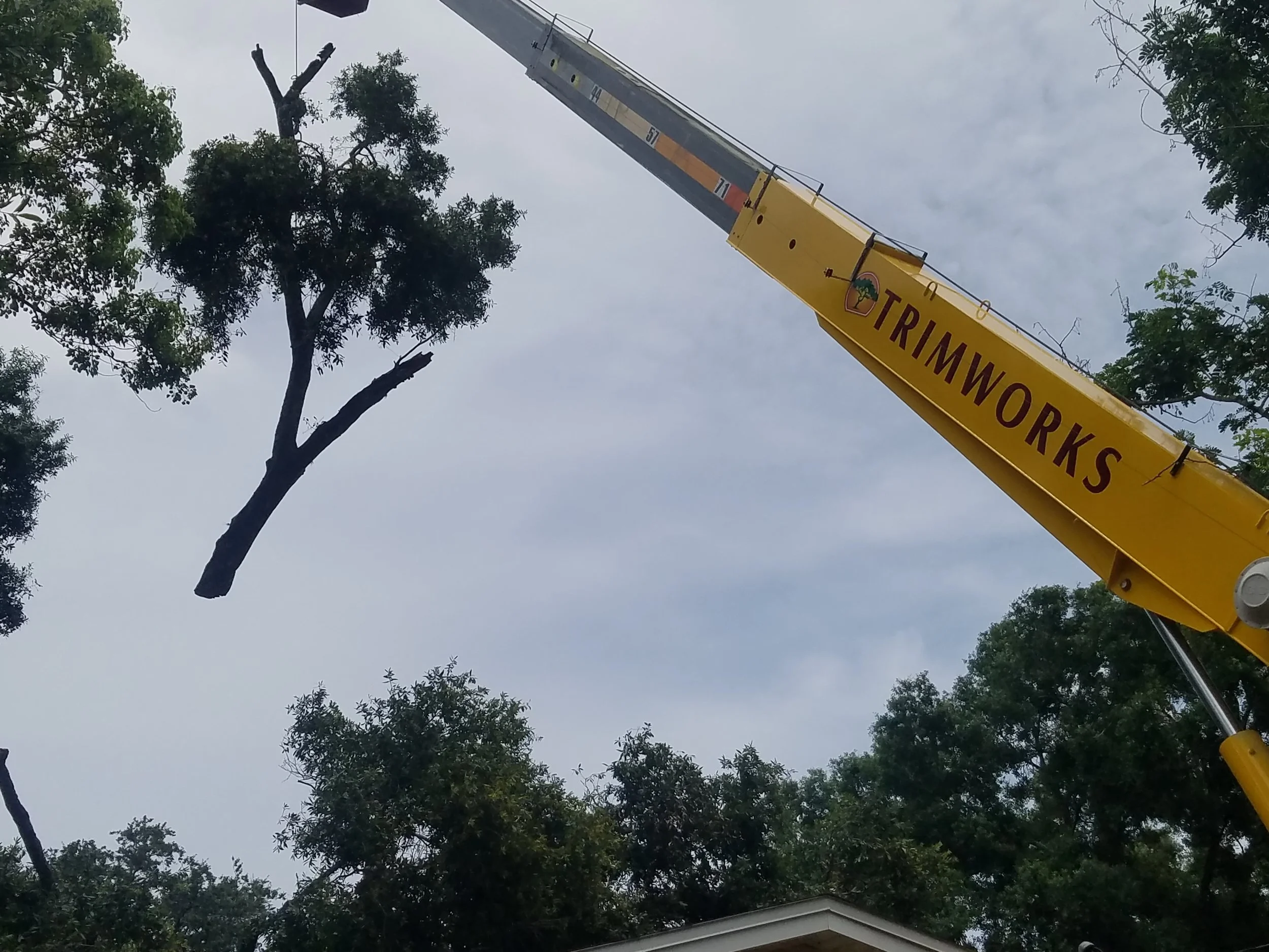 Trimworks Tree Service