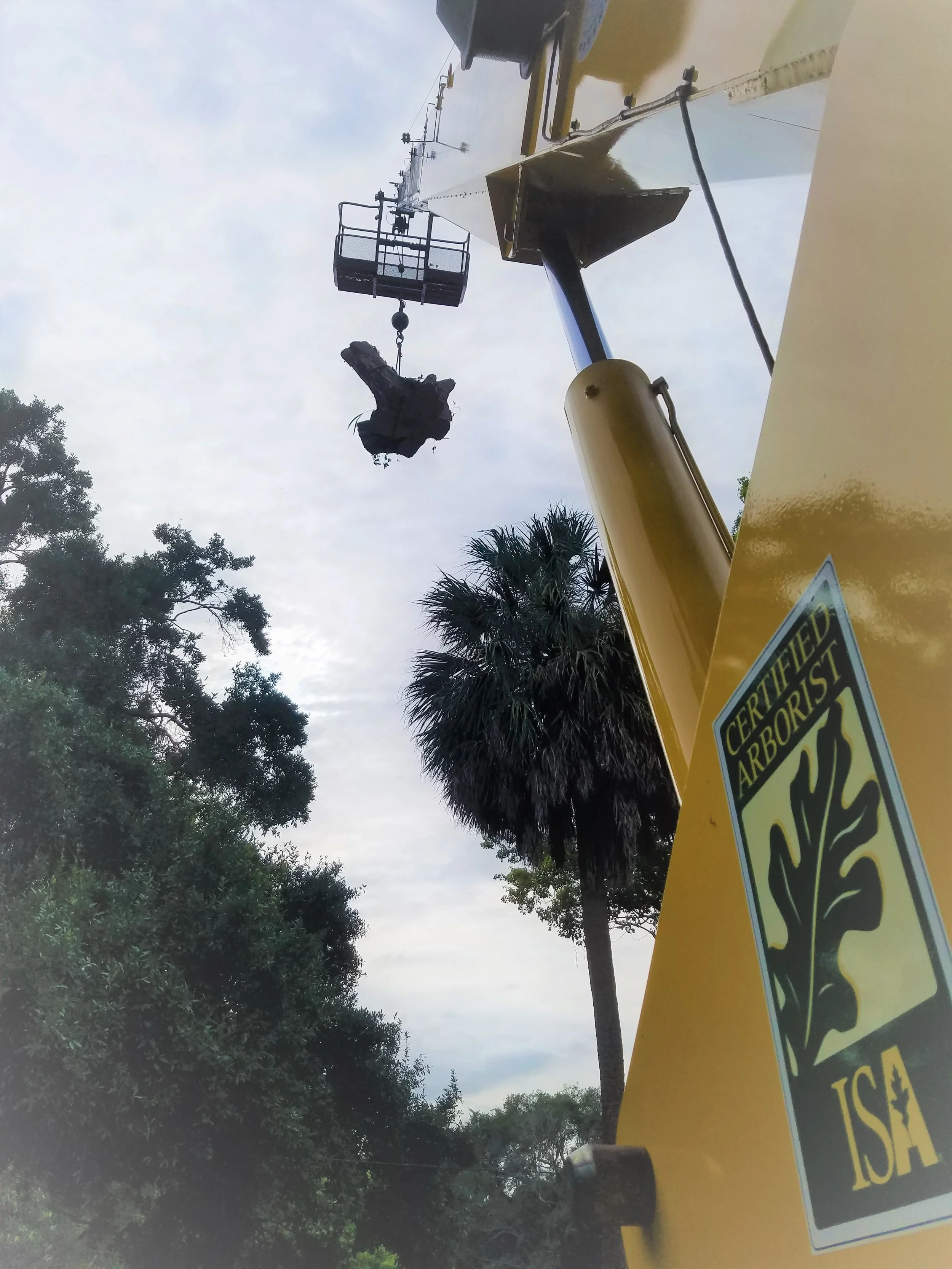 Trimworks Tree Service