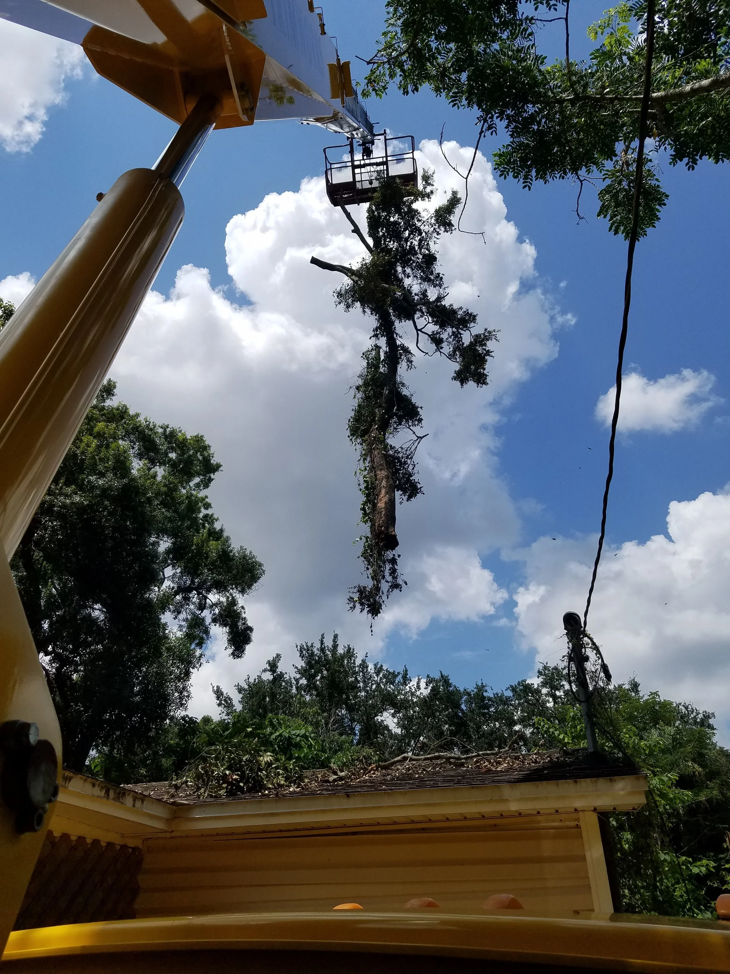 Trimworks Tree Service