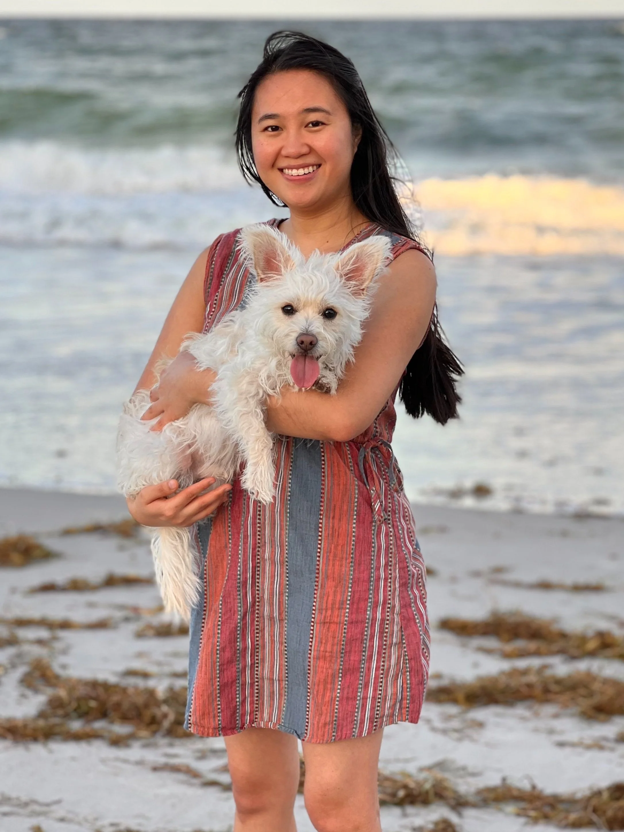 Meet the Nanchang Project Team — Nanchang Project