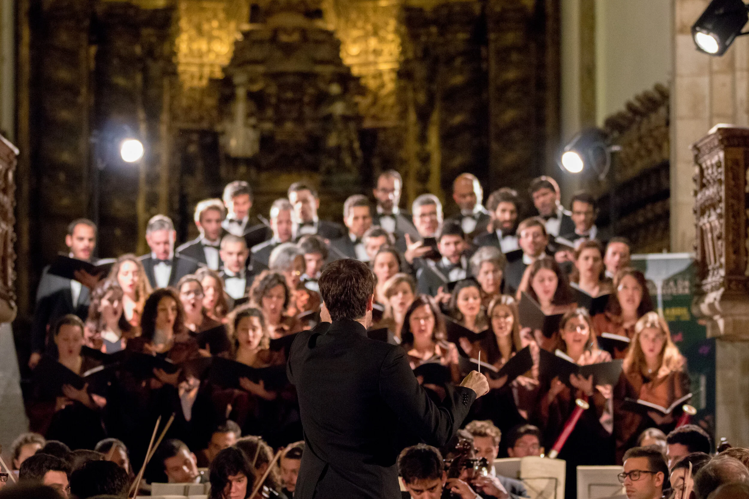 Media — Dinis Sousa