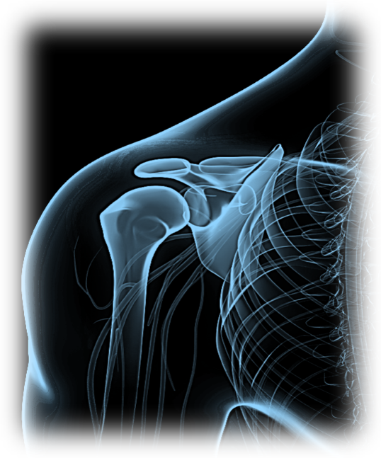 Melbourne Shoulder Group