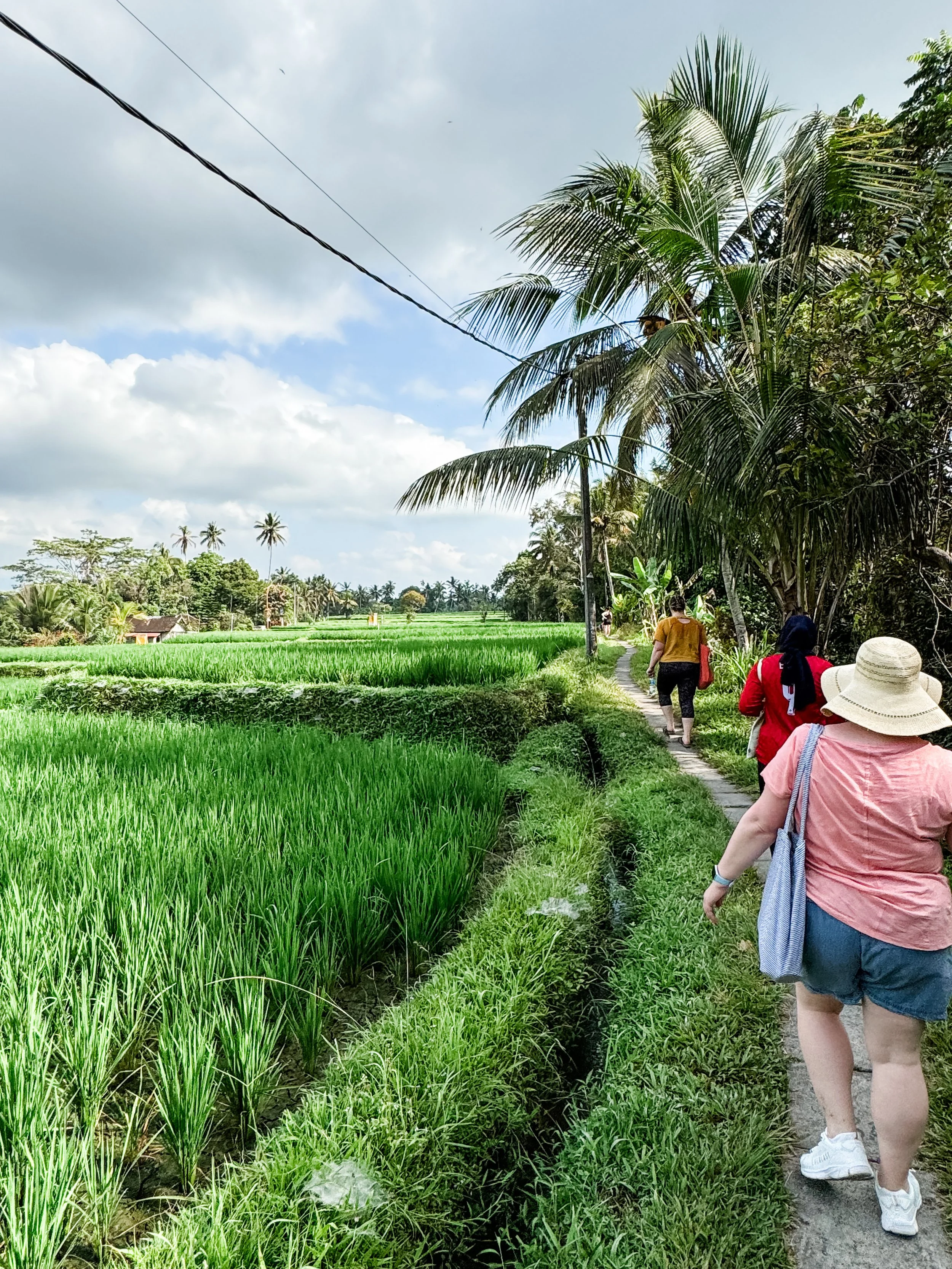 First-Time Visitor’s Guide to Ubud — My Balance Project