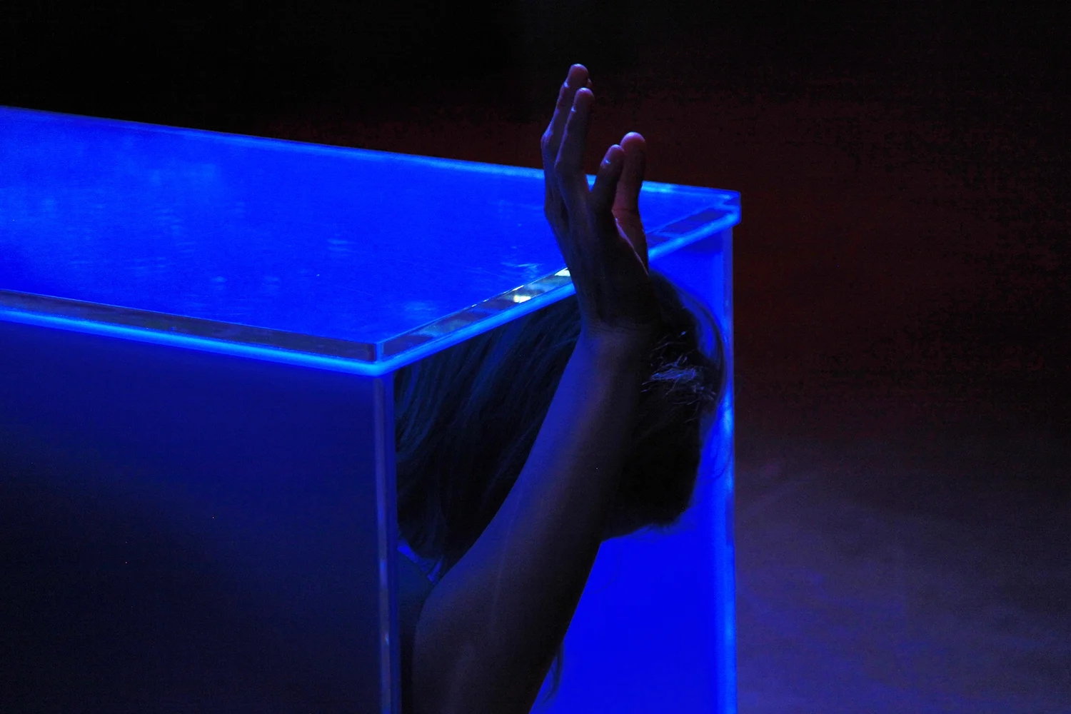 FIONA TEMPLETON