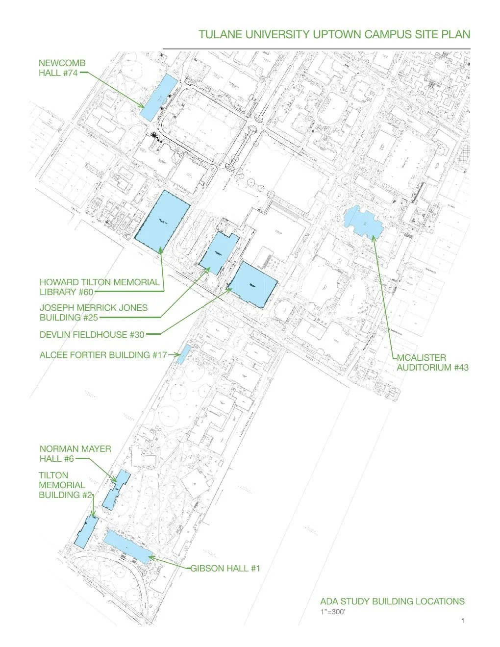Tulane University ADA Feasibility Study — studiokiro