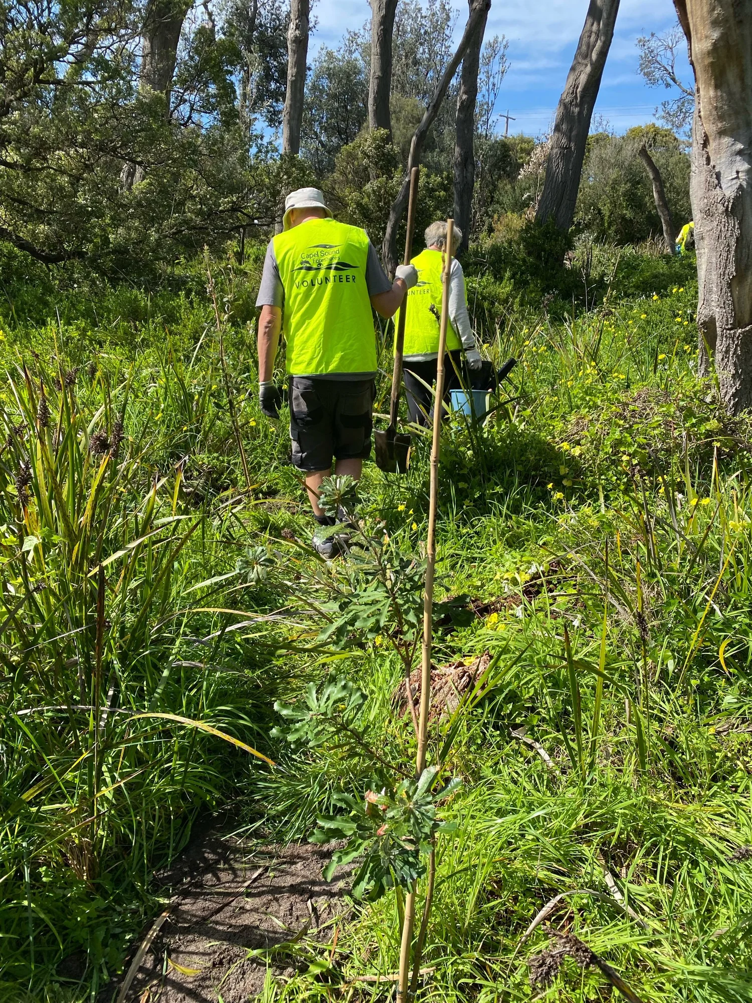 Friends of Capel Sound Foreshores — Capel Sound Foreshores