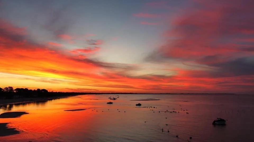 Capel Sound Foreshores - Camping Mornington Peninsula