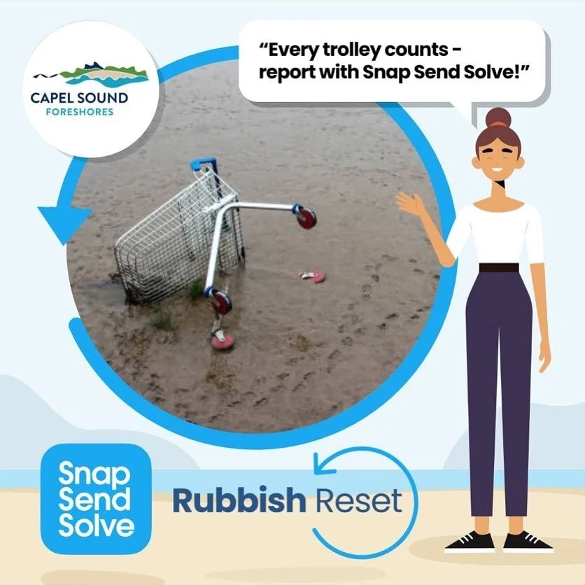 Capel Sound Foreshores - Camping Mornington Peninsula