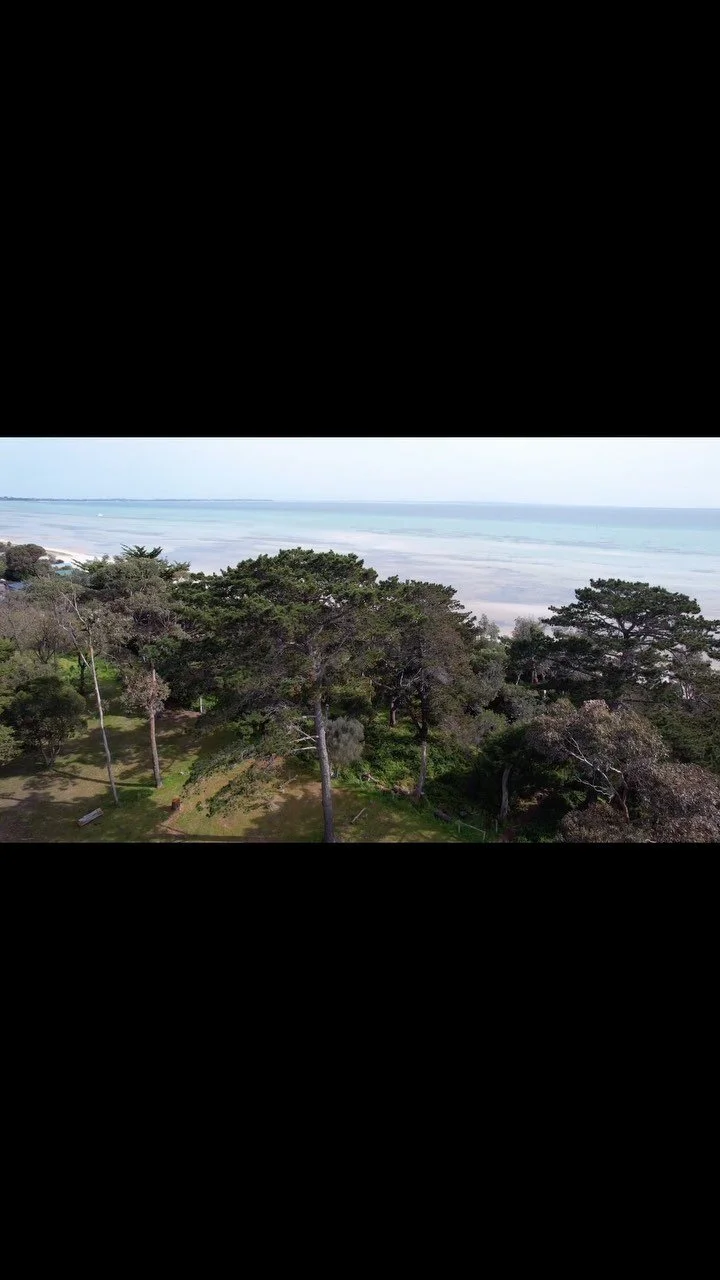 Capel Sound Foreshores - Camping Mornington Peninsula