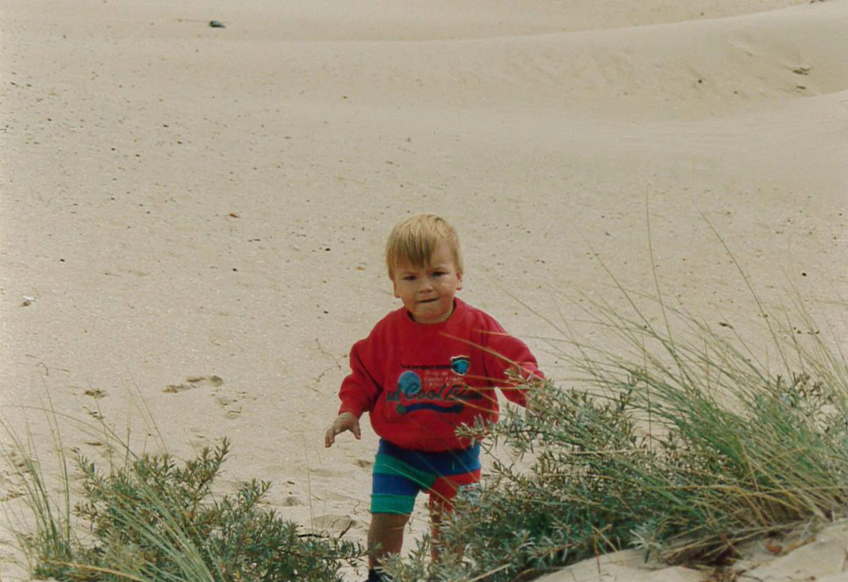 Over Toon — Toon Vandeurzen