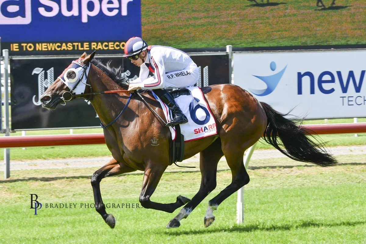 ART’S ALIVE SNATCHES VICTORY FROM THE JAWS OF DEFEAT — JOHN TAPP RACING