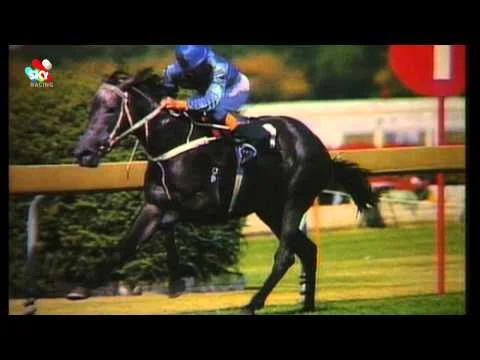 TAPPY TV — JOHN TAPP RACING