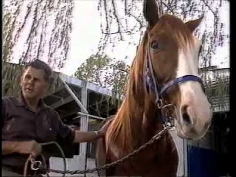 TAPPY TV — JOHN TAPP RACING