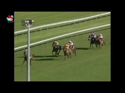 TAPPY TV — JOHN TAPP RACING