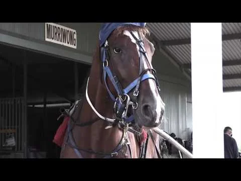 TAPPY TV — JOHN TAPP RACING