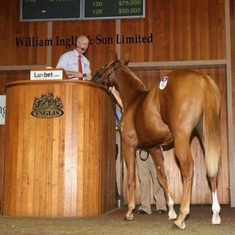 Episode 181: Tappy chats with Jonathan D'Arcy — JOHN TAPP RACING