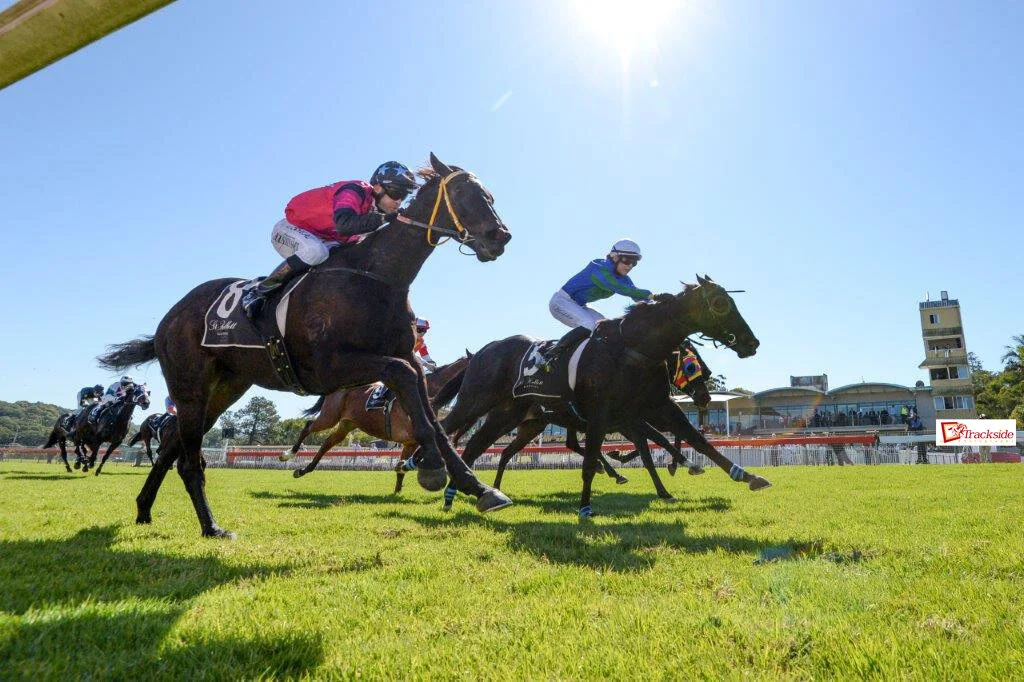 BELINDA HODDER - ONE OF THE GOLDEN GIRLS OF NORTHERN NSW RACING! — JOHN ...