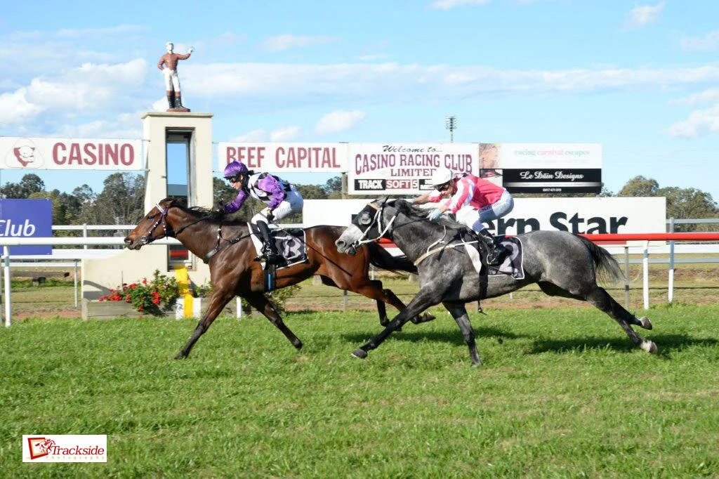 BELINDA HODDER - ONE OF THE GOLDEN GIRLS OF NORTHERN NSW RACING! — JOHN ...