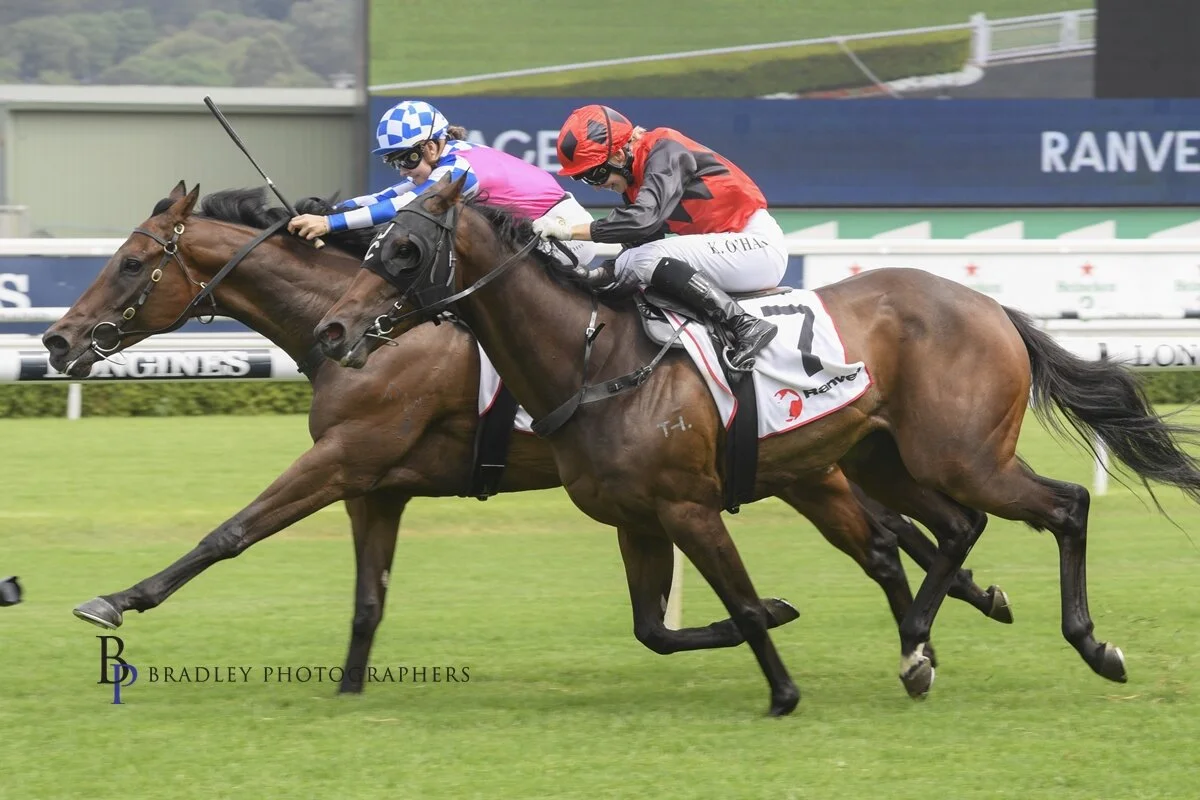 CEJAY GRAHAM’S ON THE ROAD AGAIN! — JOHN TAPP RACING