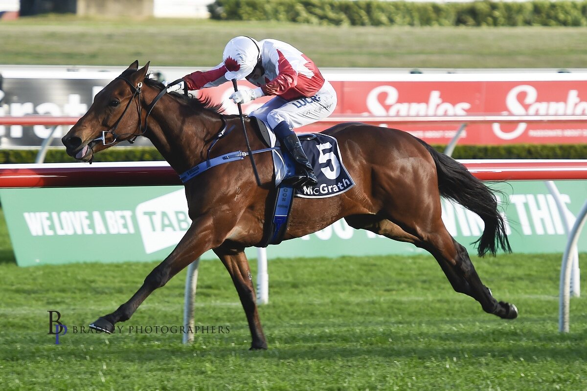 BODY LANGUAGE SAYS MORE THAN WORDS. BLAKE SPRIGGS GAVE IT AWAY AT ...