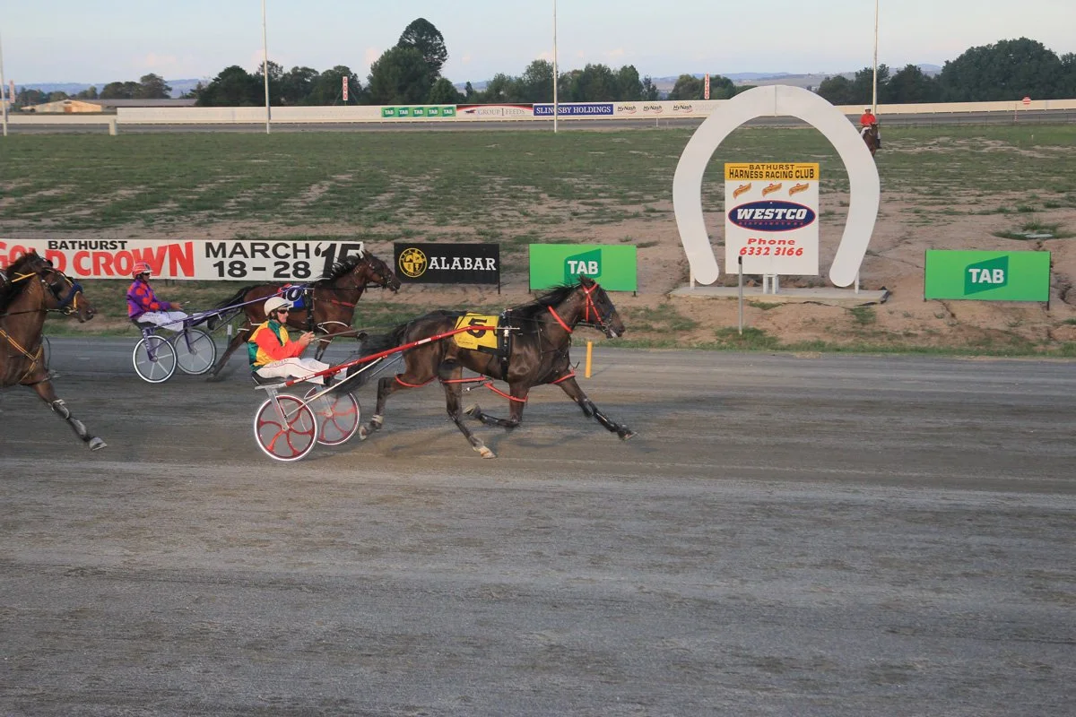 HARNESS RACING — JOHN TAPP RACING