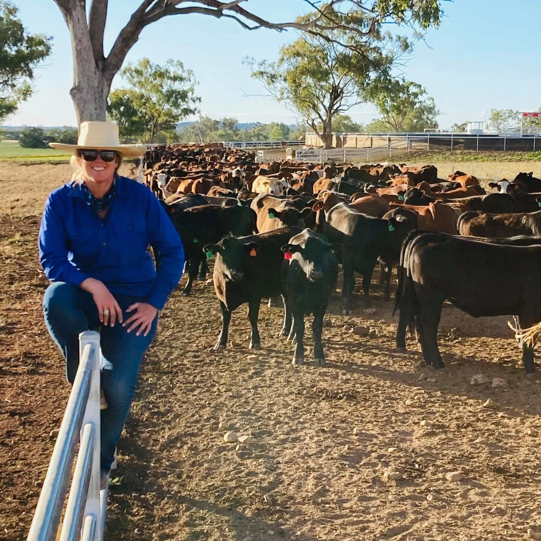 Episode 412: Tappy chats with Jo McKinnon — JOHN TAPP RACING