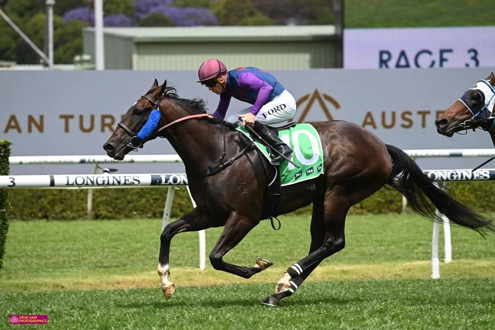 BANDI’S BOY MAKES IT 25.5 TAB HIGHWAYS FOR DANNY WILLIAMS — JOHN TAPP ...