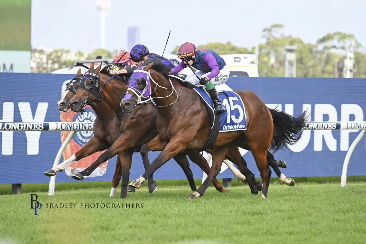 BANDI’S BOY MAKES IT 25.5 TAB HIGHWAYS FOR DANNY WILLIAMS — JOHN TAPP ...