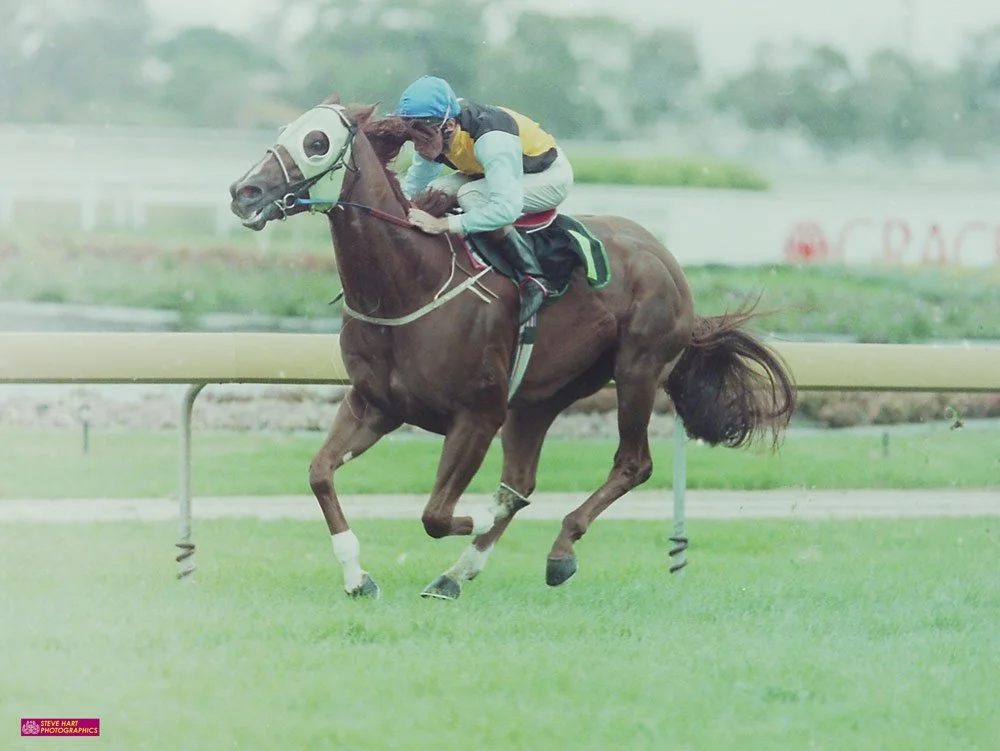 Episode 498: Tappy chats with Frank Cleary — JOHN TAPP RACING