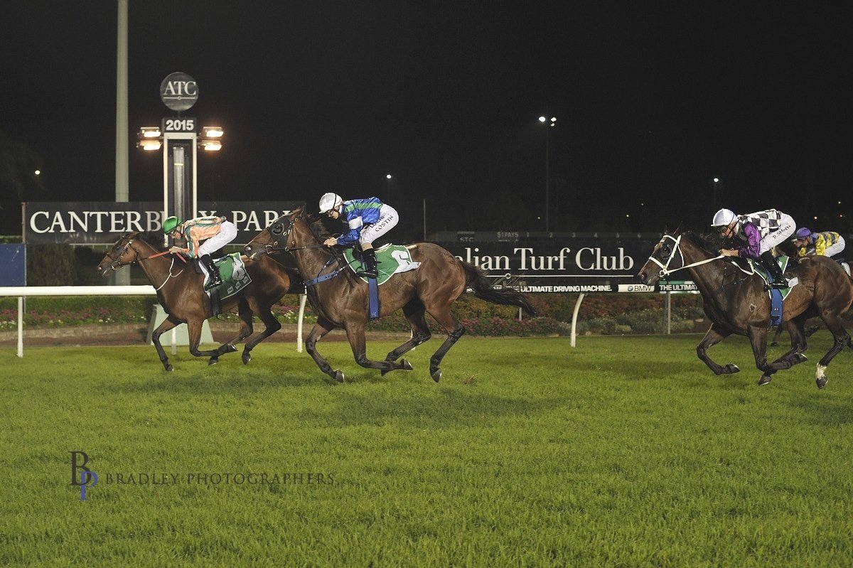 Episode 516: Allan Kehoe - A Randwick win and a trackwork spill in the ...