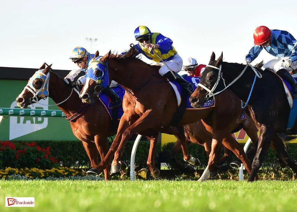 DOOMBEN STAKES DOUBLE TO REX LIPP AND NEW TRAINING PARTNER NICK HAHN ...