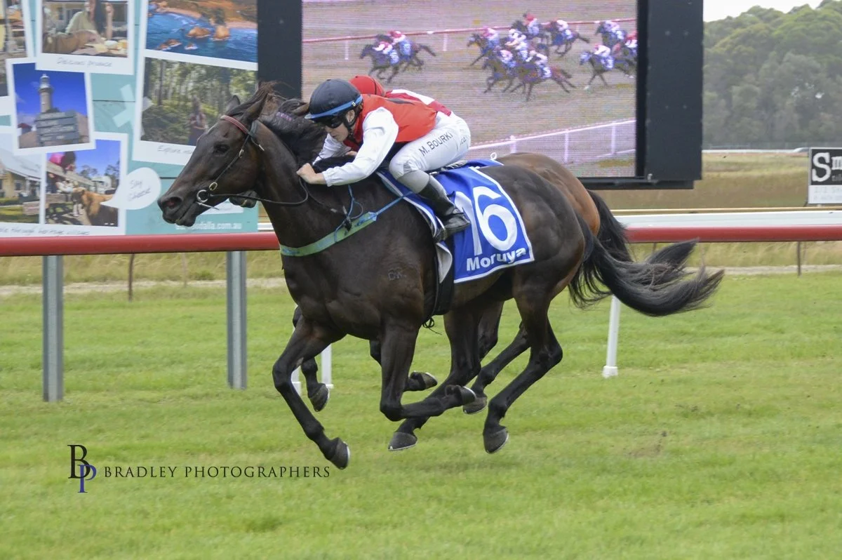 LATE BLOOMING DIRECT FIRE CRACKS IT FOR HIS FIRST CITY WIN — JOHN TAPP ...