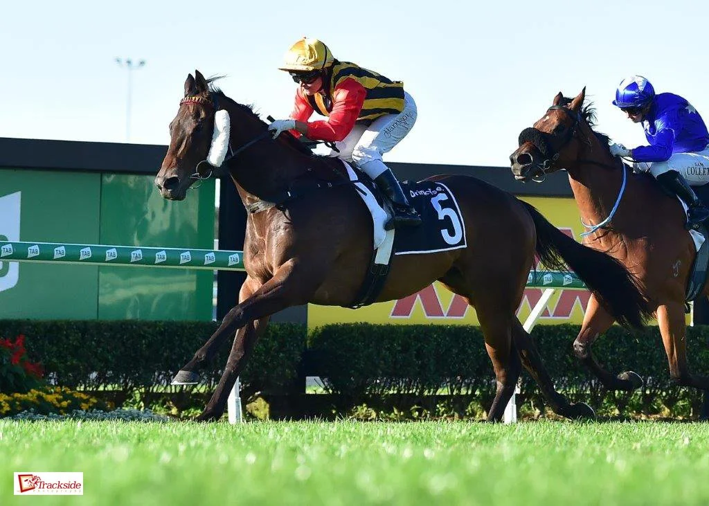 DOOMBEN STAKES DOUBLE TO REX LIPP AND NEW TRAINING PARTNER NICK HAHN ...
