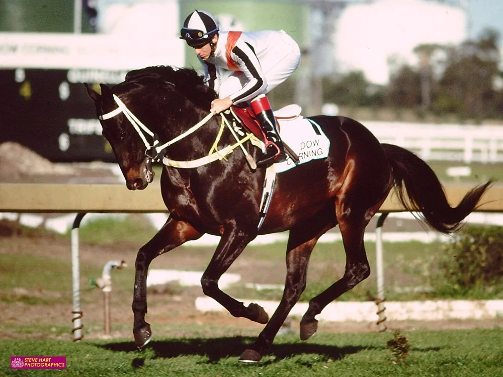 Episode 374: Tappy chats with Dr. Geoff Chapman — JOHN TAPP RACING