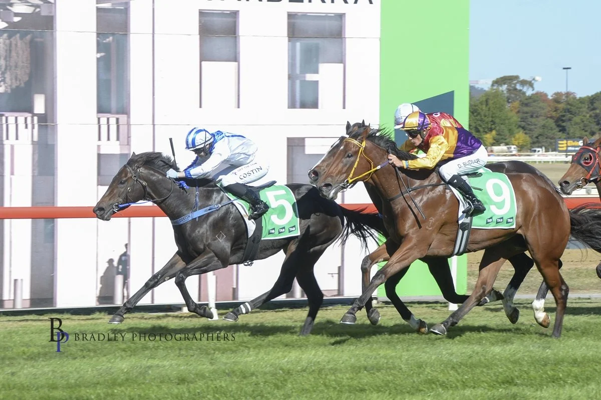 PRYDE’S EASIFEED COUNTRY TRAINER OF THE MONTH APRIL 2025 — JOHN TAPP RACING