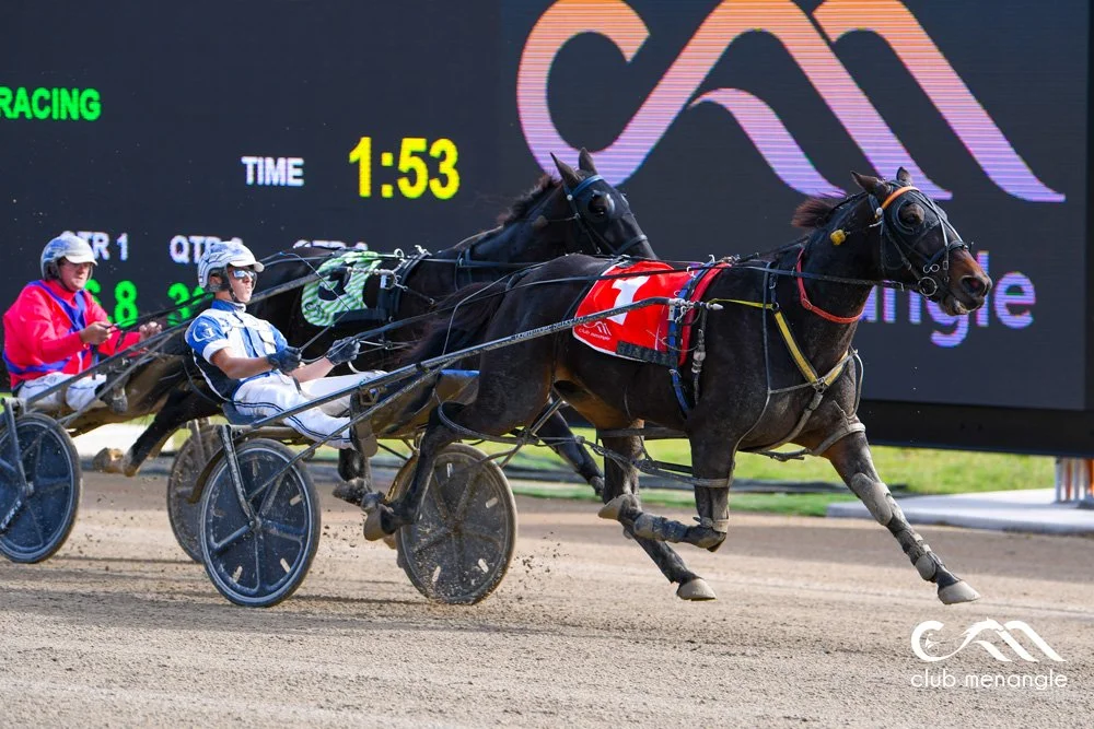 STEPHEN CONROY KNOWS EVERY INCH OF THE ROAD OVER THE BLUE MOUNTAINS ...