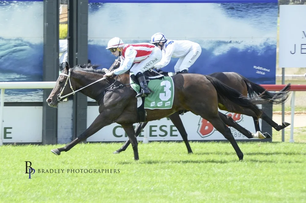 SISTER MOON IS STILL LEARNING HER TRADE, BUT KEEPS ON WINNING — JOHN ...