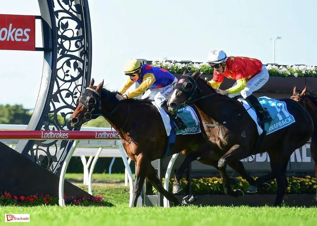 REX LIPP PUTS RETIREMENT ASIDE FOR THE TIME BEING — JOHN TAPP RACING