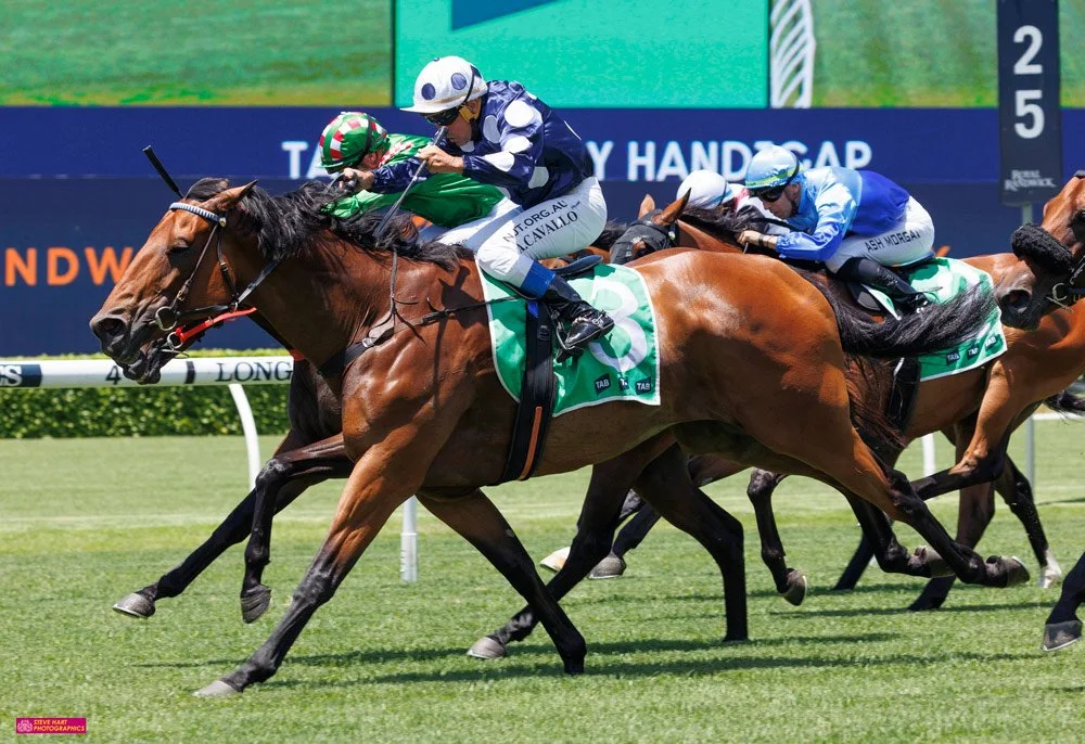 TAB HIGHWAY NUMBER 1 FOR THE RYAN BROTHERS - NUMBER 4 FOR EVERGREEN ...