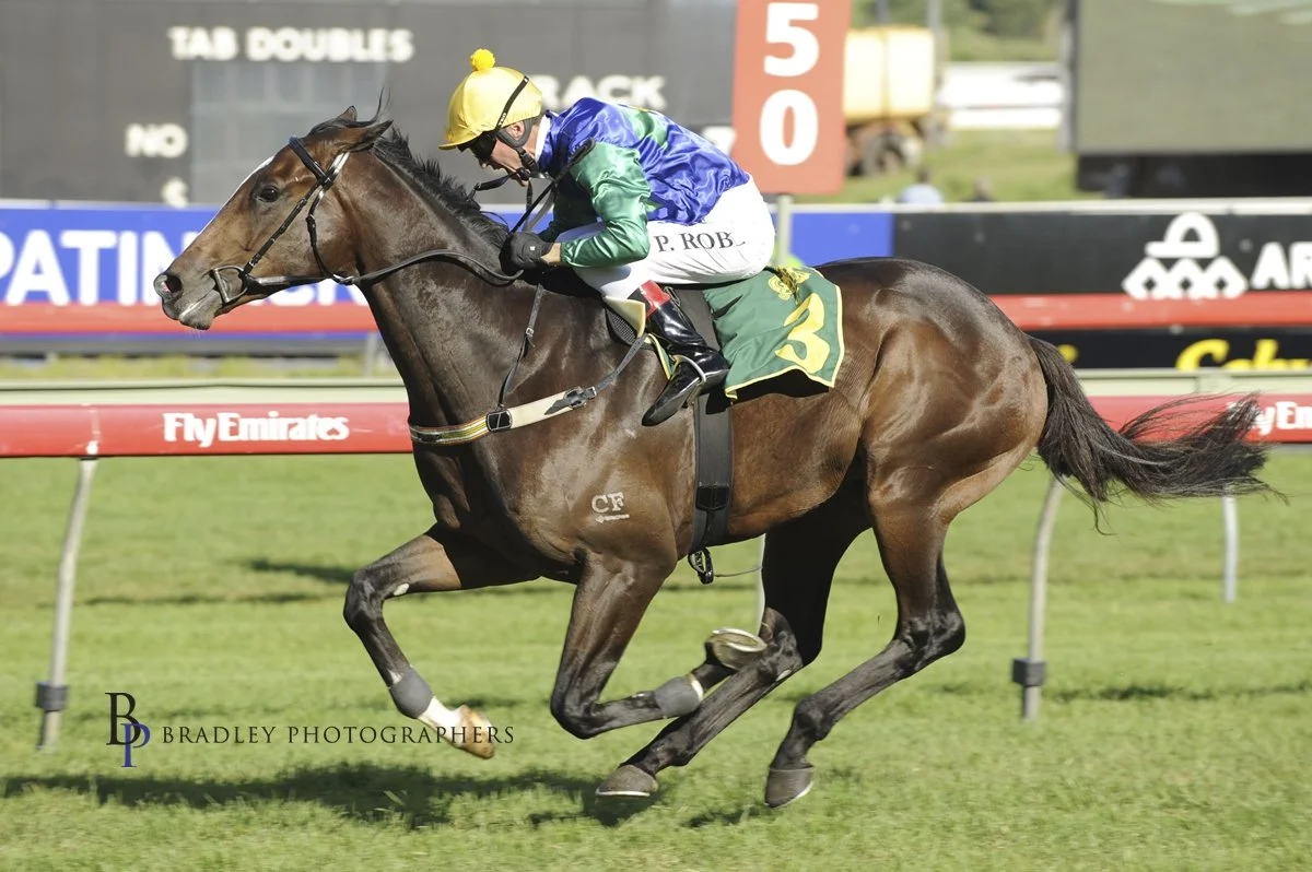 JASON COYLE PULLS THE RIGHT REIN AT KEMBLA GRANGE — JOHN TAPP RACING