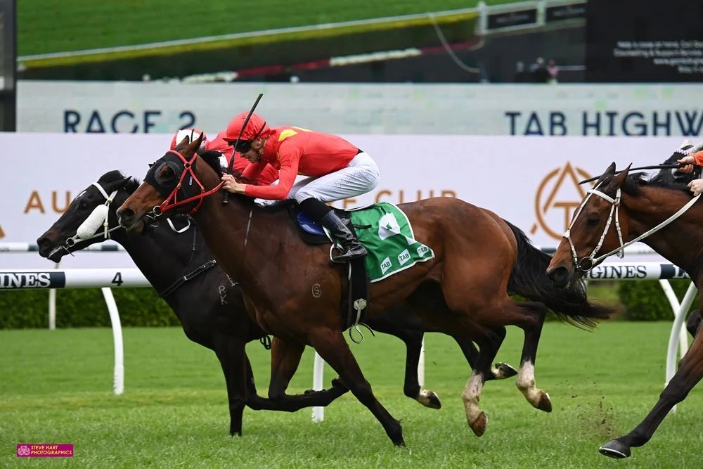 JAMES PONSONBY - TROTTING MAN HITS HIS STRAPS AT THE GALLOPS — JOHN ...