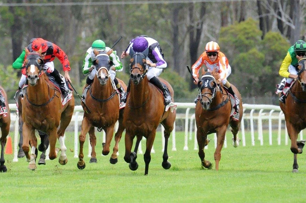 PRE XMAS TAREE WIN LAUNCHES JAKE HULL’S TRAINING CAREER — JOHN TAPP RACING