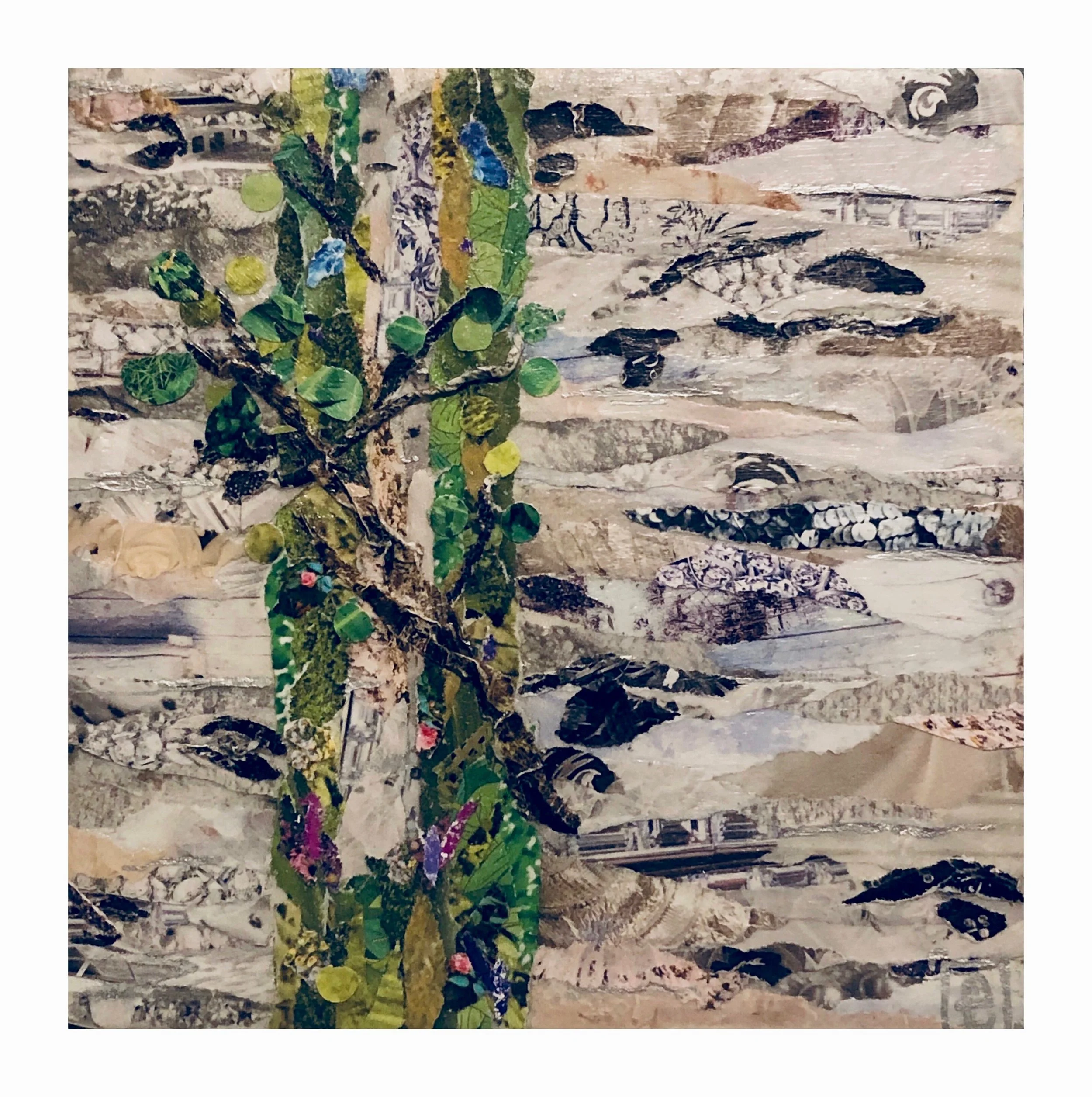 Nature — emory cooper