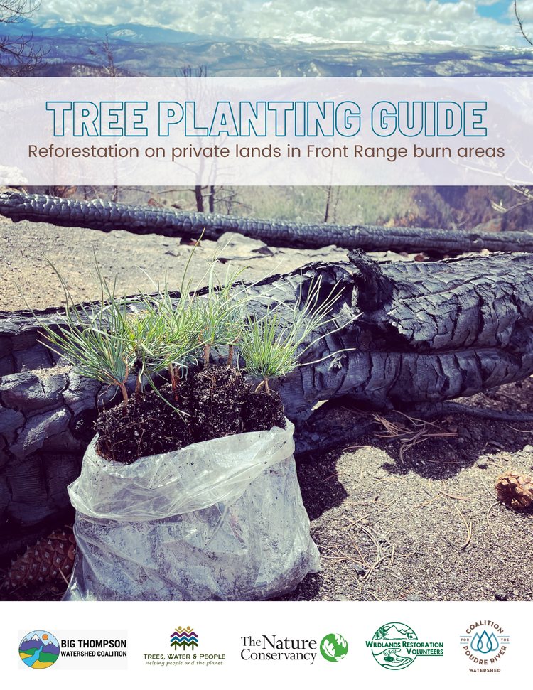 Coalition for the Poudre River Watershed-Reforestation