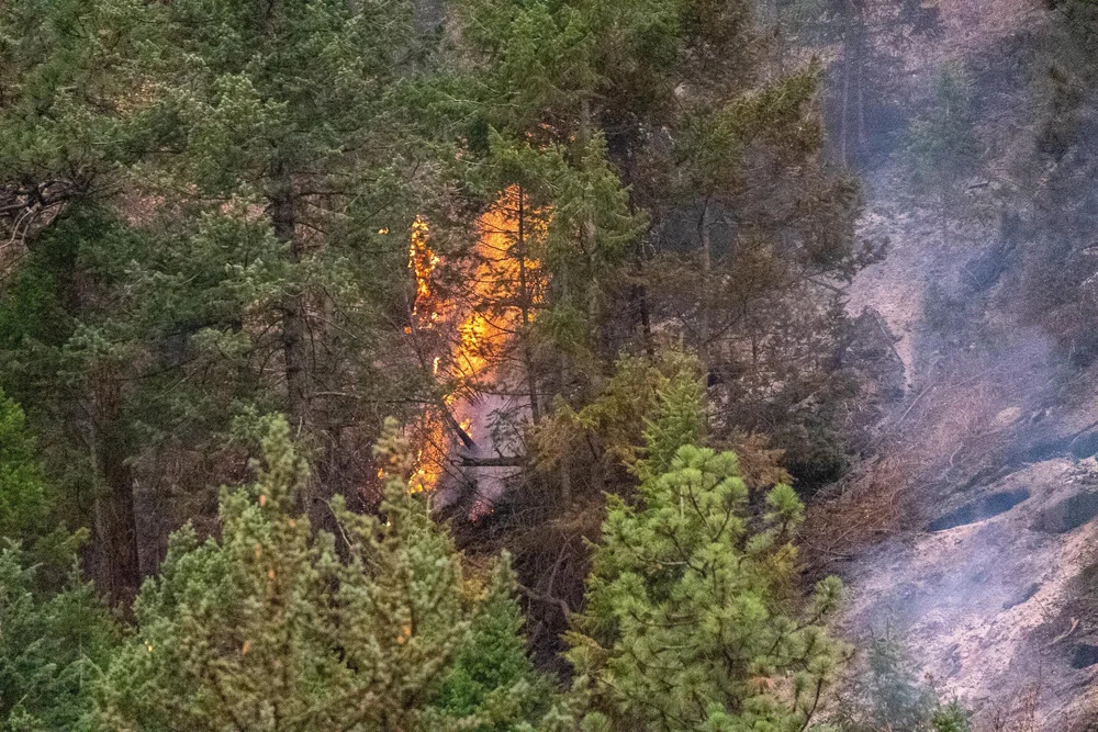 Coalition for the Poudre River Watershed-Cameron Peak Fire: Facts and ...