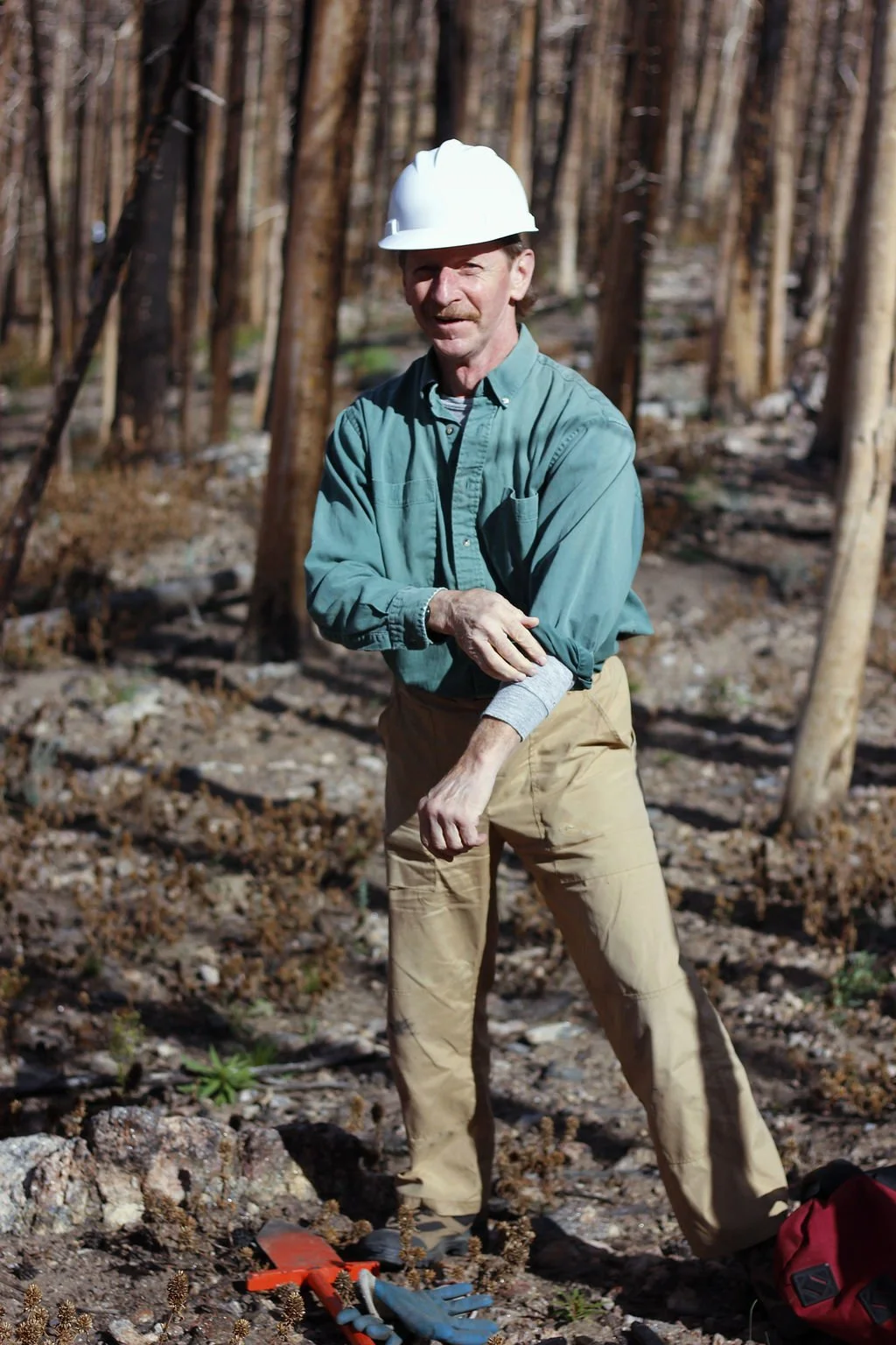 Coalition for the Poudre River Watershed-Reforestation