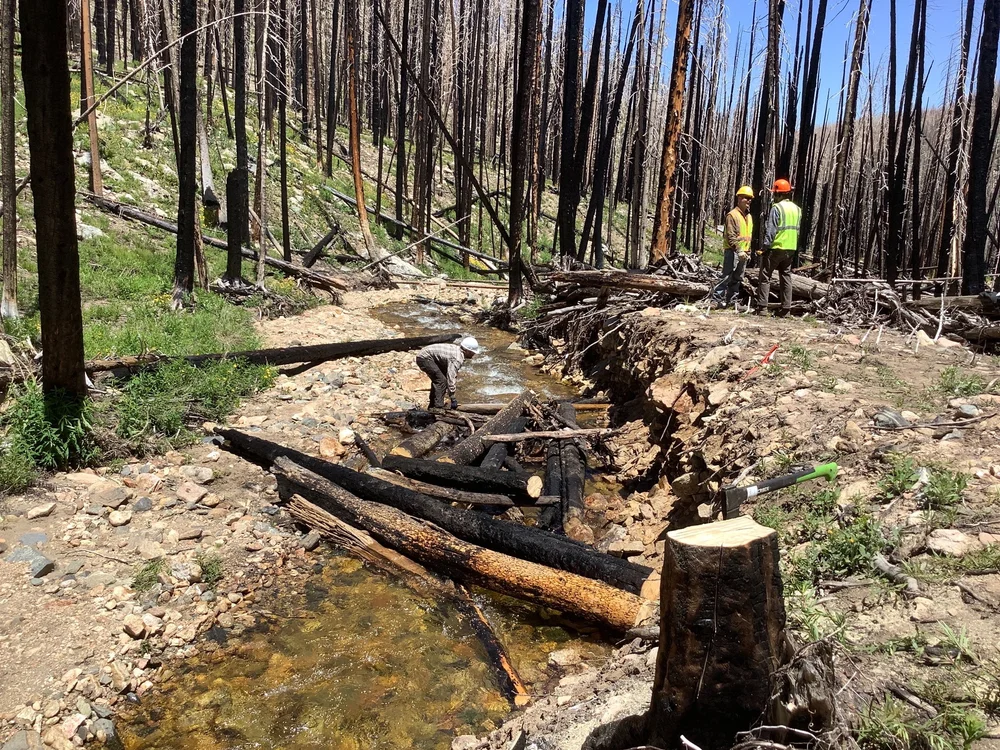 Coalition for the Poudre River Watershed-Low-Tech Process-Based Restoration