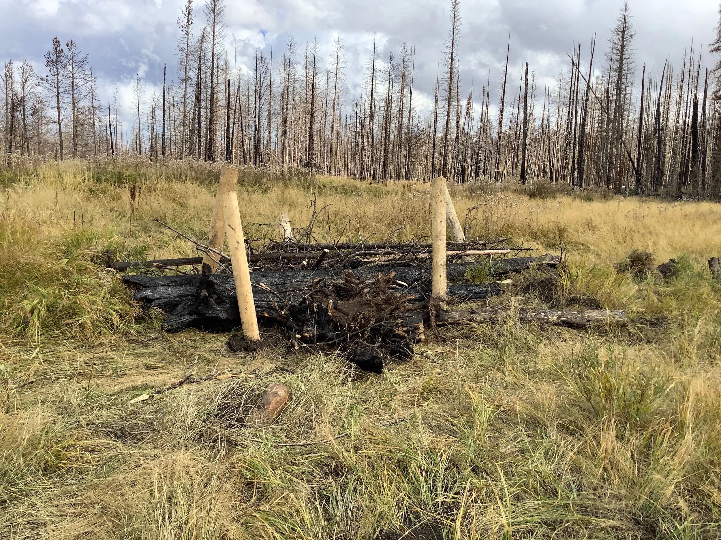 Coalition for the Poudre River Watershed-Low-Tech Process-Based Restoration