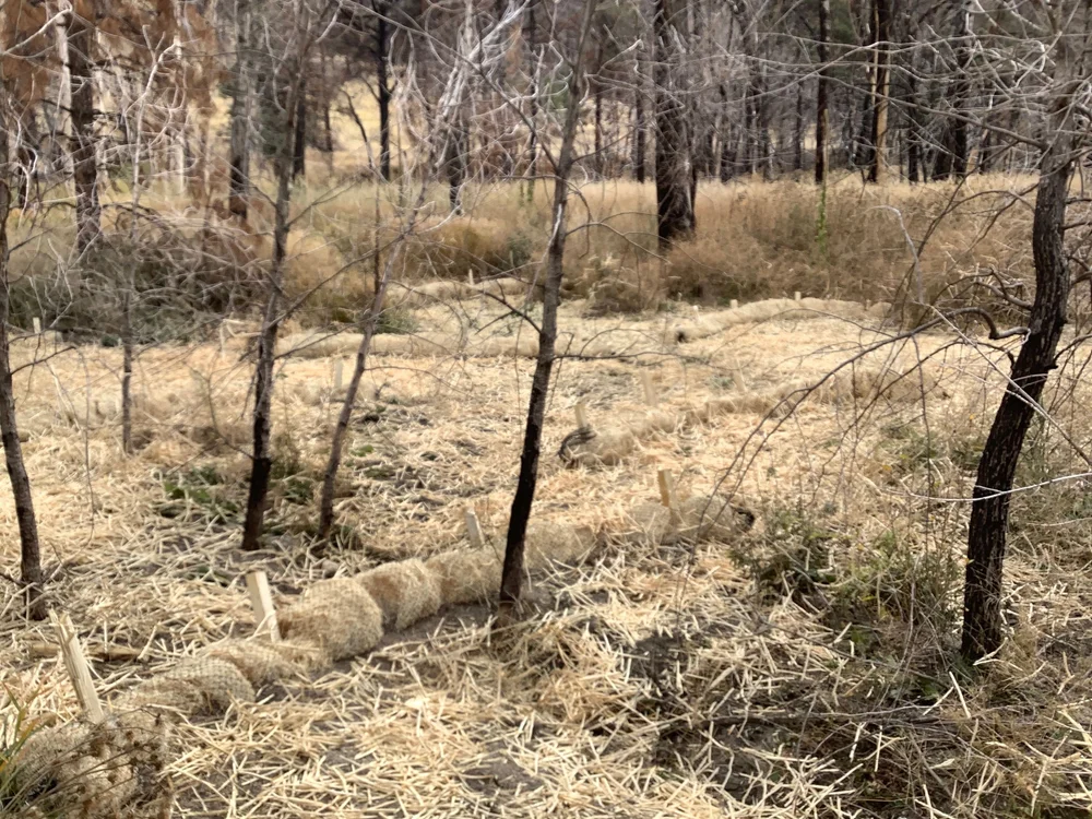 Coalition for the Poudre River Watershed-Elkhorn Creek Post-Fire ...